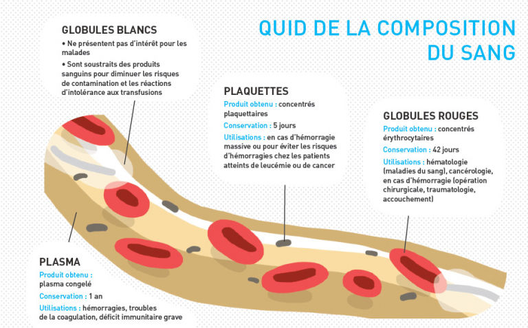 Le don du sang : un acte citoyen ! - Vocation Santé
